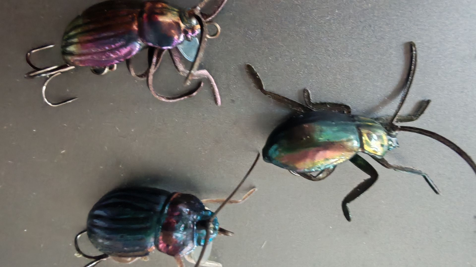 Chafer 37 ЖУЖЕЛИЦА