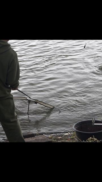 Это червончик ребятки