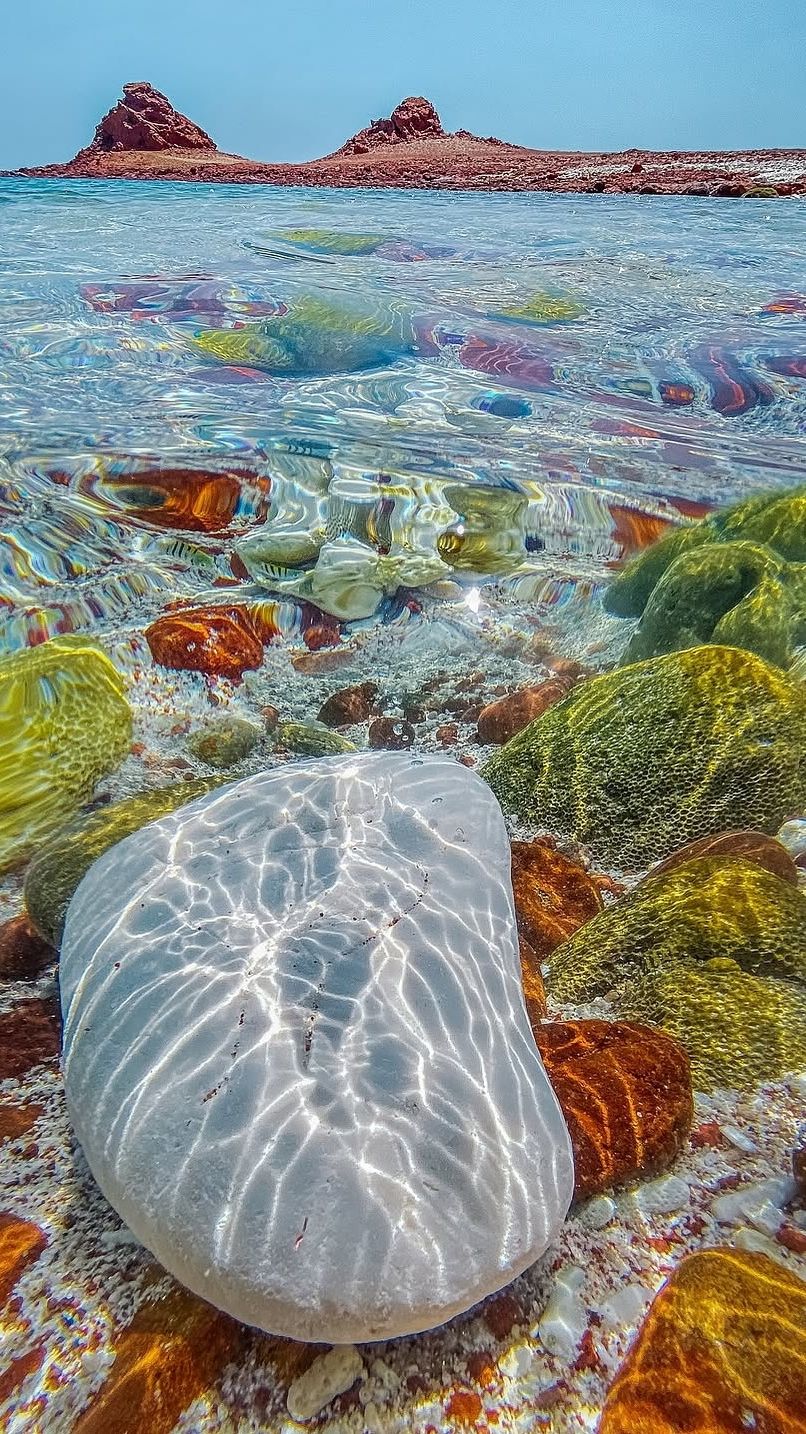 Erkka - Excommunication(ZABELINA)