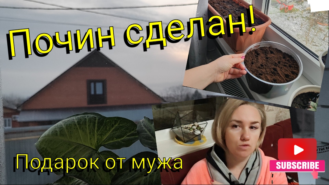 Переезд на ЮГ 🌞Почин сделан 🌱 Подарок от мужа🎁 Погодные качели на Кубани❄☀