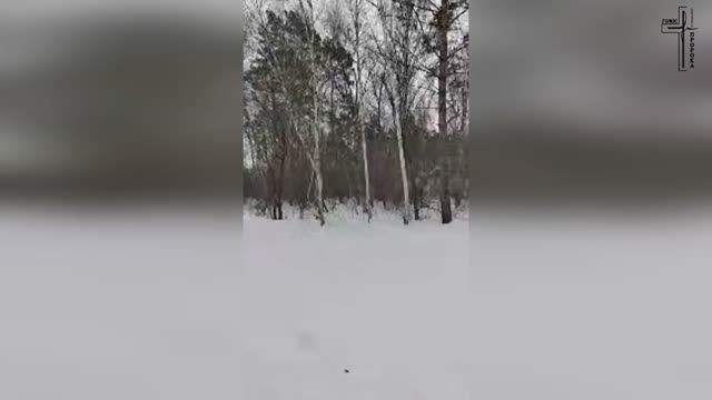 СЛОВО / МОЛИТВА В ЛЕСУ 🙏