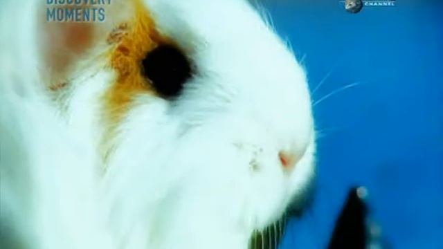 Disсоvеry Moments (Disсоvеry 03-2007)