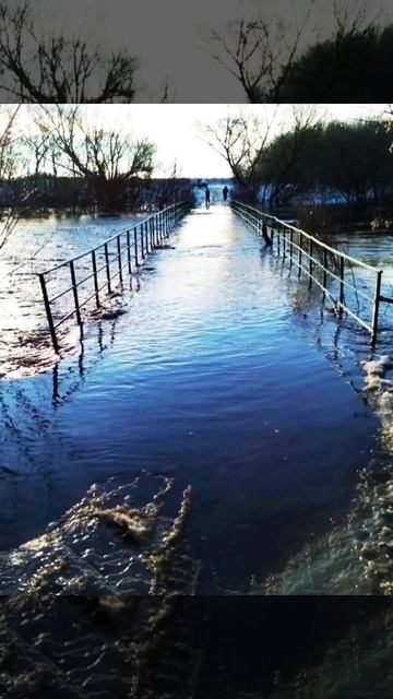 Не торопись, тропинка узкая...