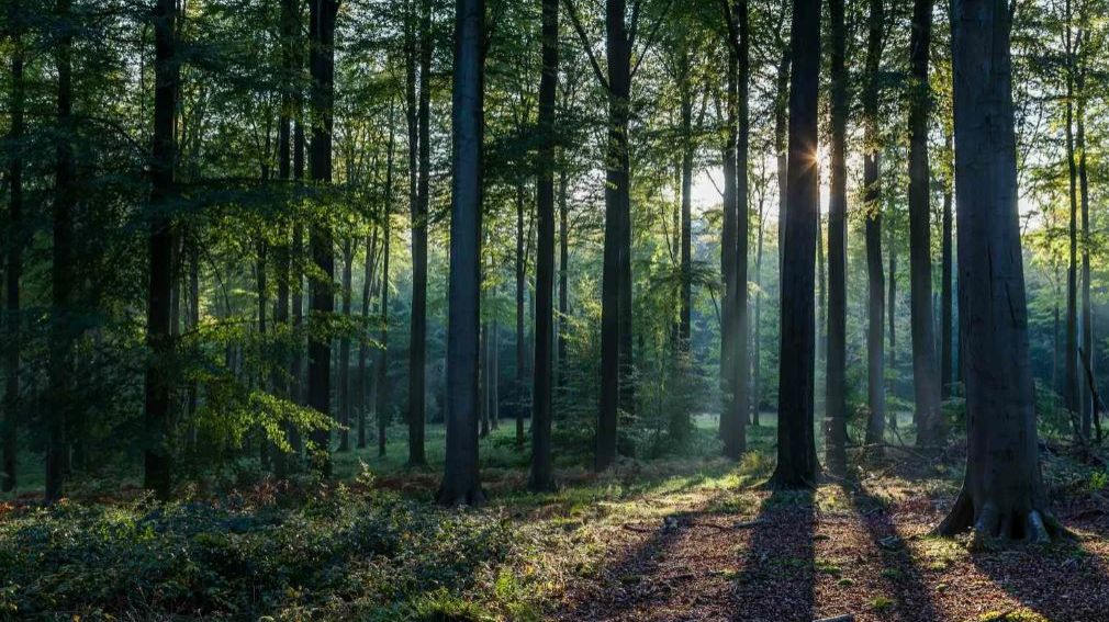 Melon sandbox зомби апокалипсис в альтернативной вселенной