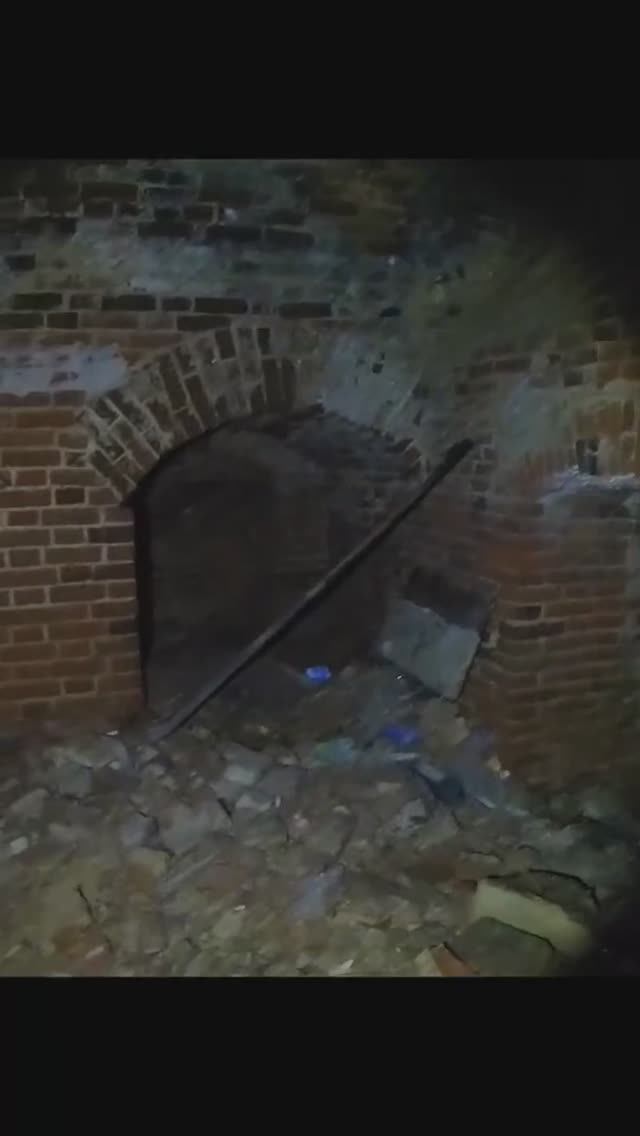 Баловнево. Подвал  усадьбы где при царе орудовали фальшивомонетчики  #заброшенныеместа #shorts