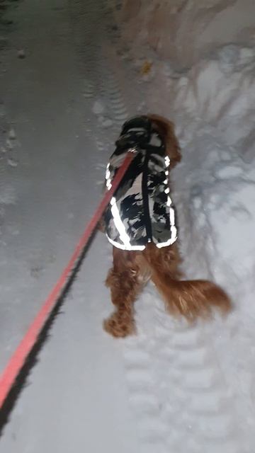 Снежная аллея ЖК Салават Купере Казань#shorts