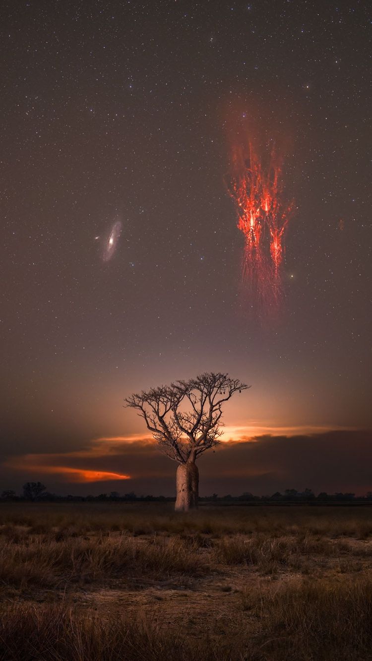 Modd & Voice of Babylon - Follow The Star