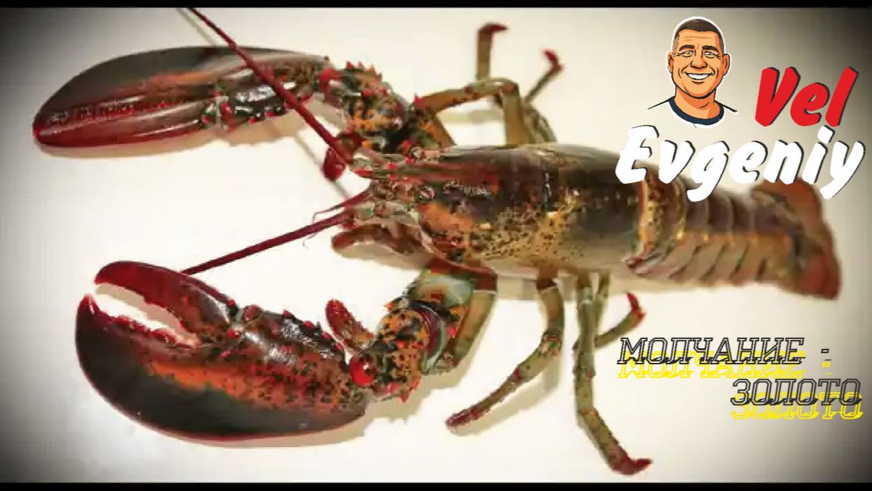 "Молчание - золото"