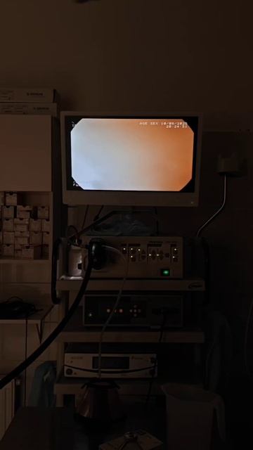 Гастроскопия с извлечением инородного тела из желудка кота