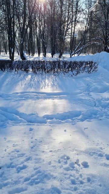Заснеженный парк в солнечный зимний день. ❄ -14, 📷 05.02.2026, Москва.