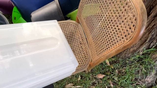 БЕСПЛАТНЫЕ ВЕЩИ НА УЛИЦАХ СИДНЕЯ (Me & Australia)