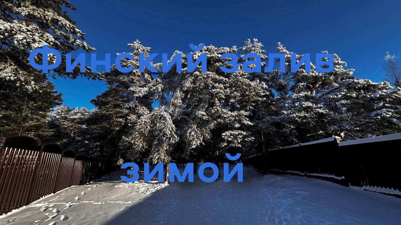 Финский залив зимой