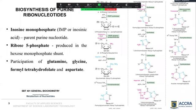 Lipid_Metabolism II & Nucleic Acid Metabolism