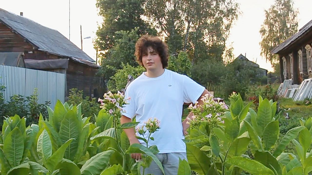 ТАБАК ТРАПЕЗОНД 92 И ЮБИЛЕЙНЫЙ 142: 1-я ЛОМКА, СУШКА  – 10 лет назад! «Сады порока» 1 сез. 3 сер.