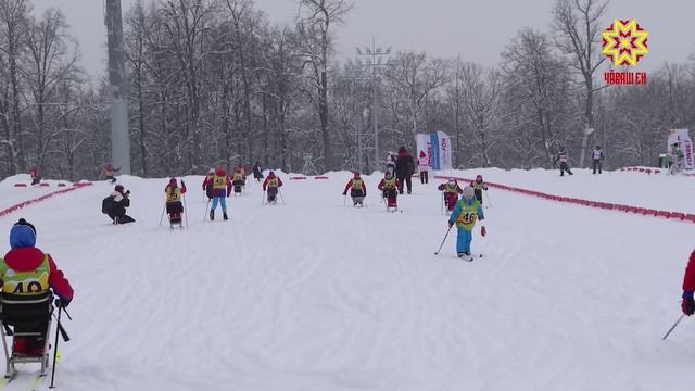 Олег Николаев: Всероссийские старты в Чувашии — новый импульс для развития адаптивного спорта