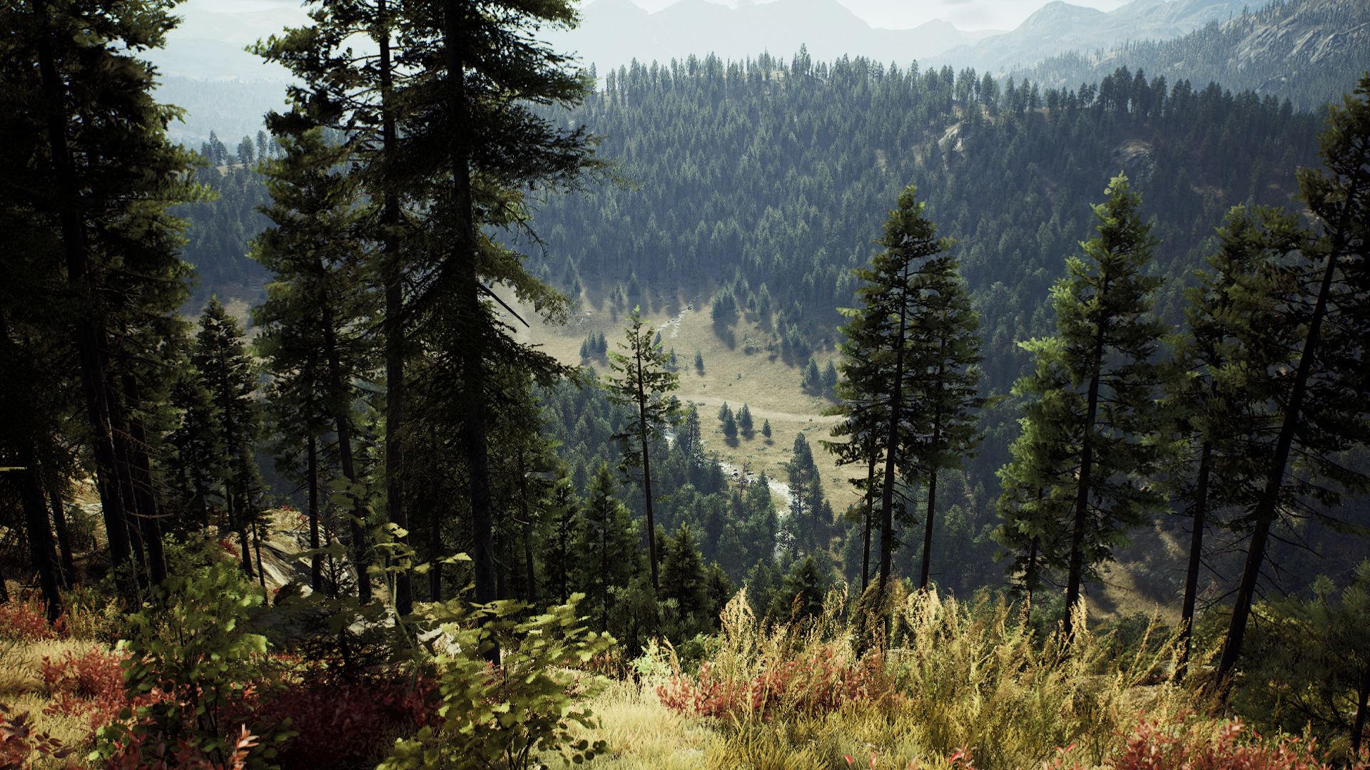 Way of the Hunter | Охотимся на оленей | 1