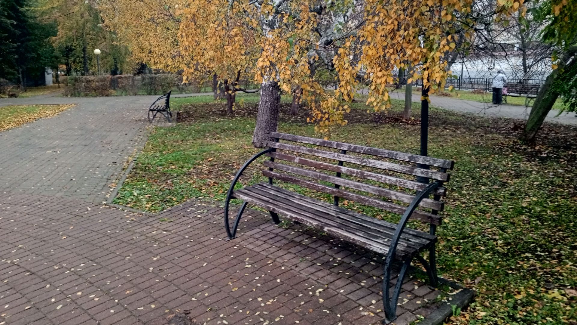 Баллада о Насиме