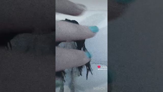 Like_7296176648443424270.mp4