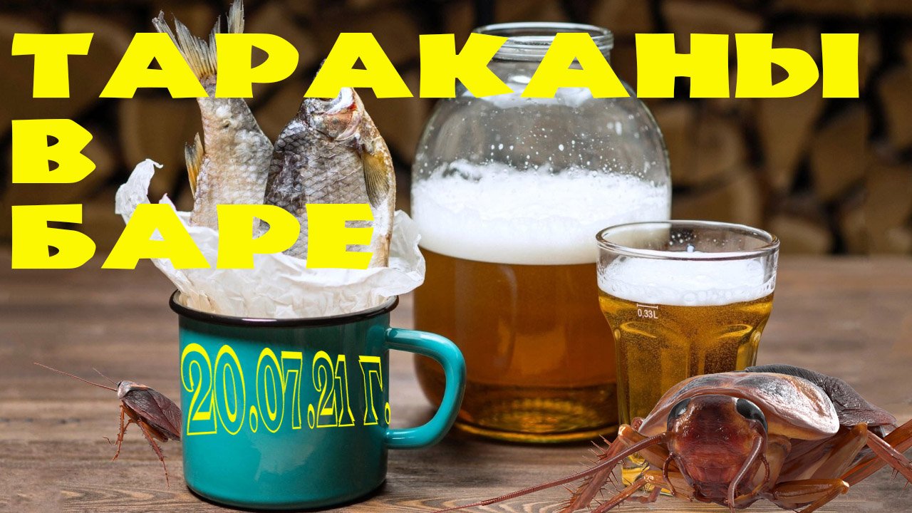 Тараканы под пивом