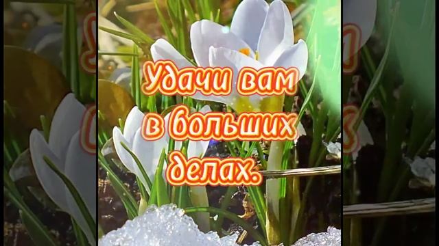 С первым днем весны