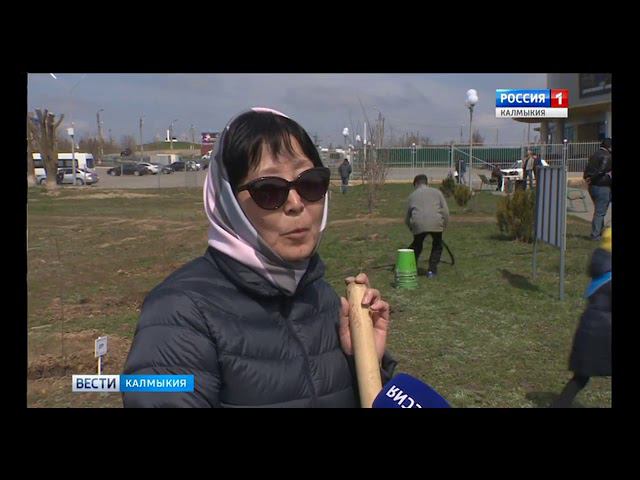 В Республике Калмыкия появилась телеаллея