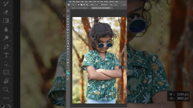 Photoshop Basics Part01 Marquee Tool | Malayalam Beginners Tutorial   #photoshop