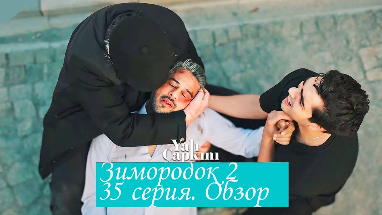 Зимородок 2. Серия 35. Краткий пересказ.