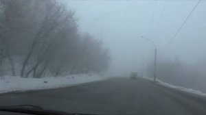 шалости погоды в Сибири март 2019 / Тюльпаны к продажи / Пробный вариант.