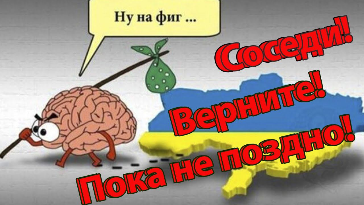 События на Украине глазами некоторых иностранцев
