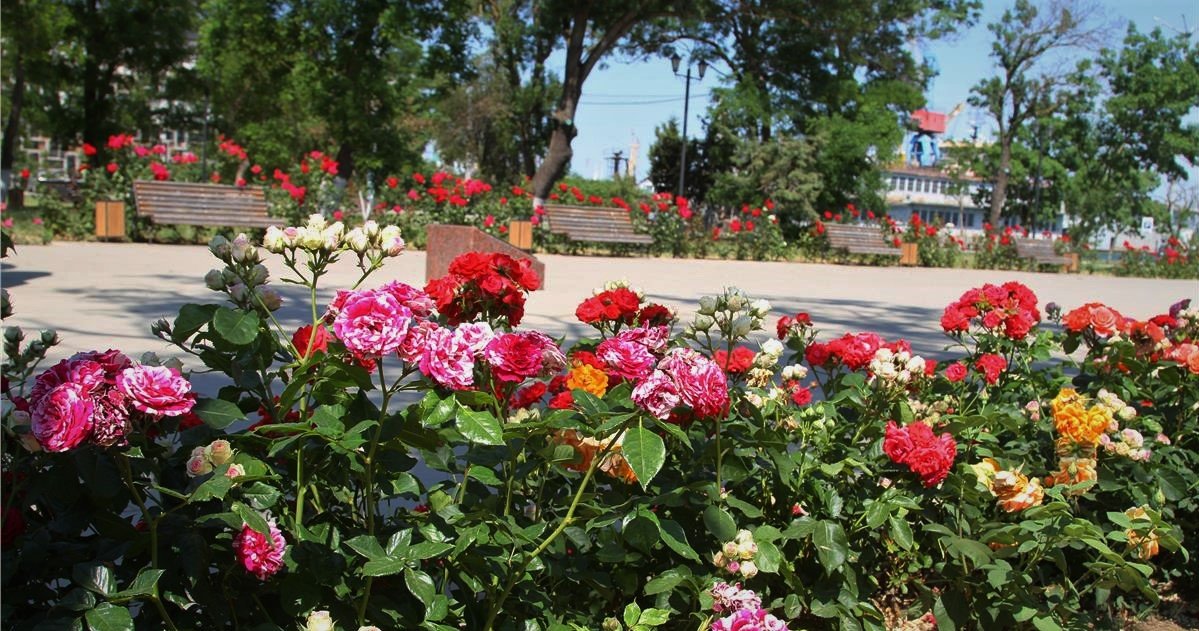 Цветущая Керчь