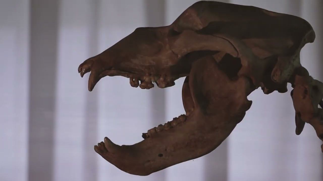 Territory of ancient monsters