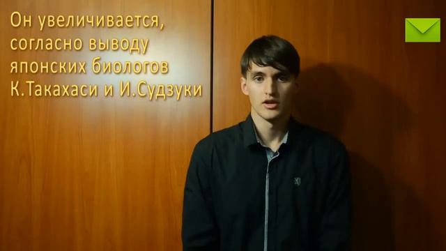 50. Какой процент мозга мы используем!