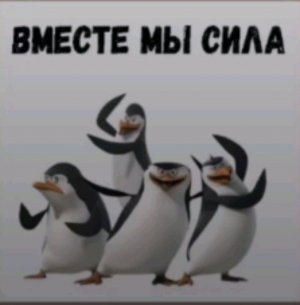 мы