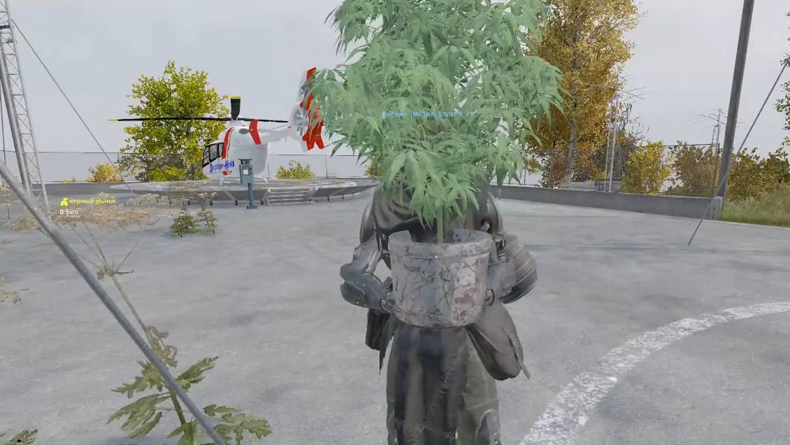 🌳 DAYZ🌳ПРИКЛЮЧЕНИЯ ЧЁРНОЙ МЕТКИ НА СЕРВЕРЕ LAND OF THE DEAD🌳ОТЖАЛИ ЦВЕТОК🌳