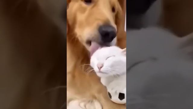 ????