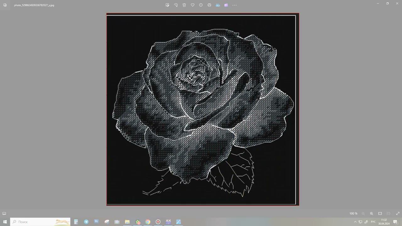 Роза. Обратная связь.