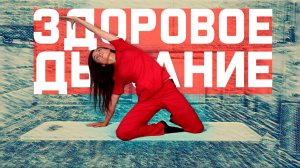 Брюшная помпа или как промассировать внутренние органы