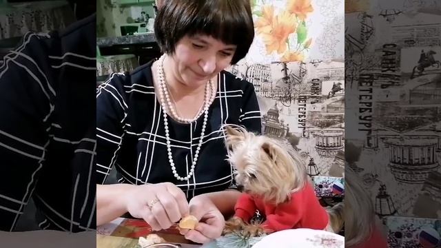 Ой, а я тоже хочу мандаринку...