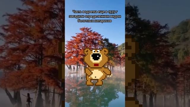 Мишка и Сукко