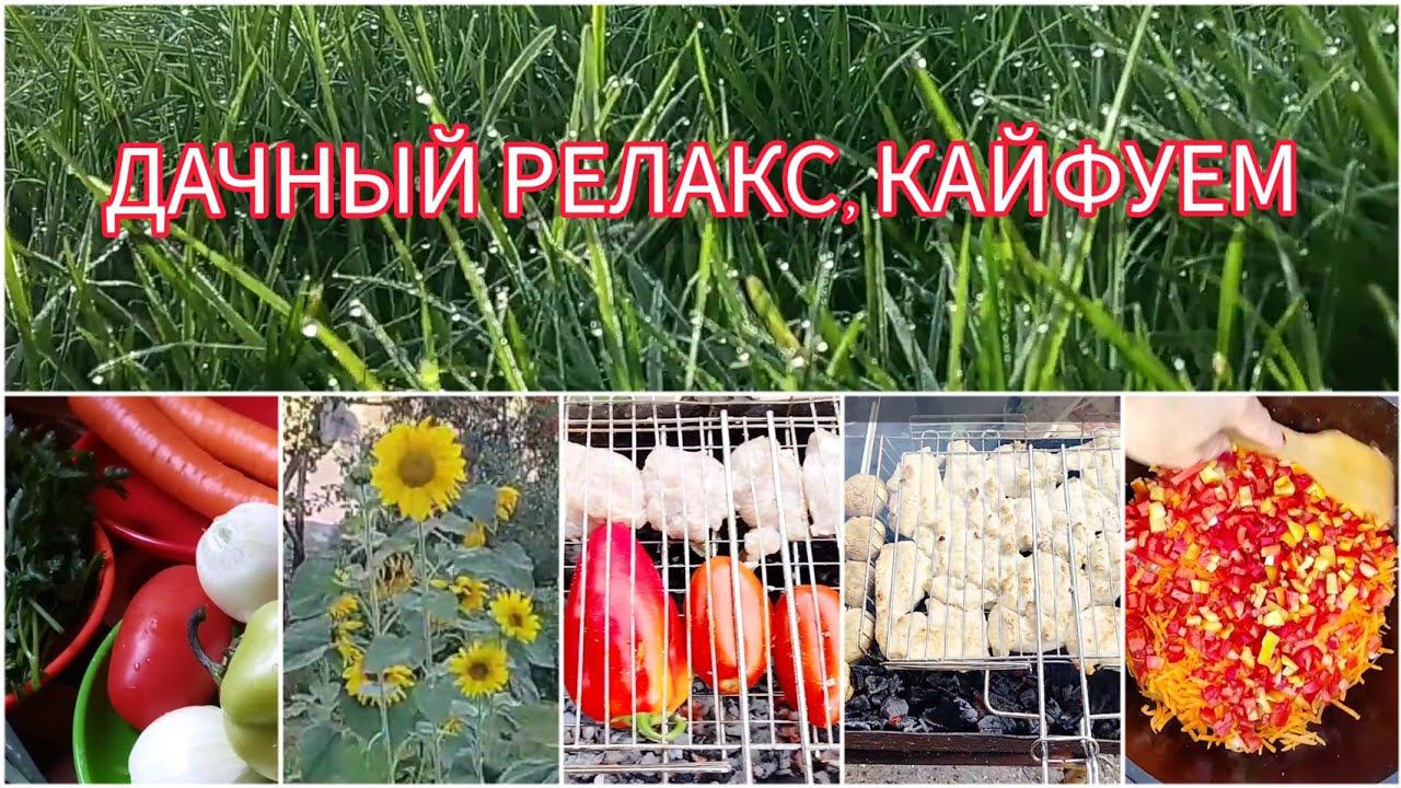ДАЧНЫЙ РЕЛАКС, СОБИРАЮ УРОЖАЙ, ГОТОВЛЮ, КАЙФ ❤️