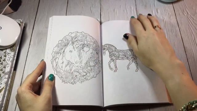 Обзор раскраски "Лошадки и единороги" (автор Яблоко Анастасия)