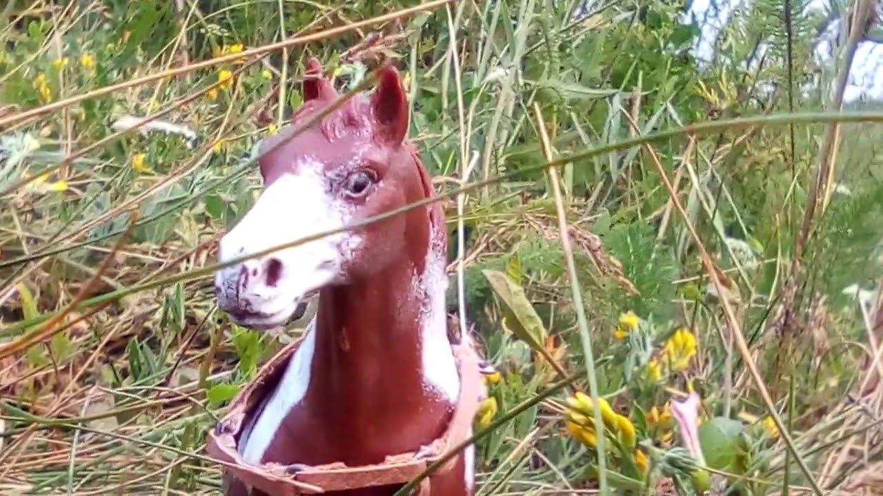 Сериал   Schleich Believe in yourself серия 7/