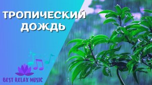 Звуки тропического дождя и волшебная мелодия для вашего спокойствия и расслабления