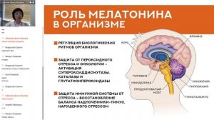 НЕЙРО-ЭНДОКРИННАЯ СИСТЕМА