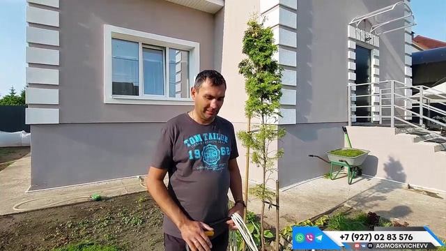 Наш сад. Создаем газон своими руками, часть 2