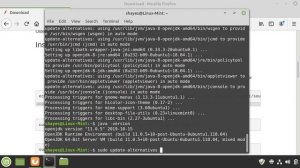 Installing Apache Cassandra on Linux Mint
