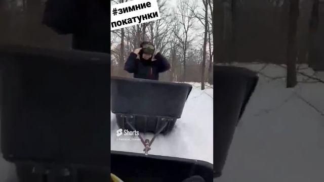Зимние покатушки по лесу на мотособаке