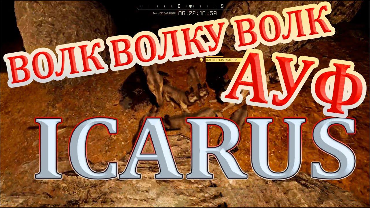 ICARUS✨ ВСЕМ ВОЛКАМ АУФ