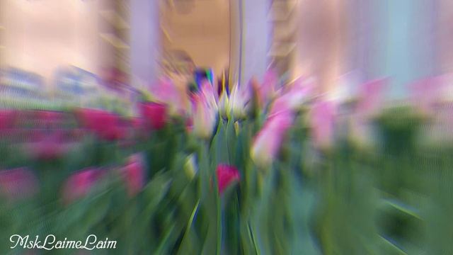 Дыхание и аромат весны