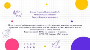 Учитель начальных классов Винокурова Ю.А